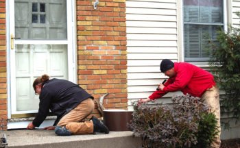 Rainbow Pest Experts: Pest Control in Minnesota