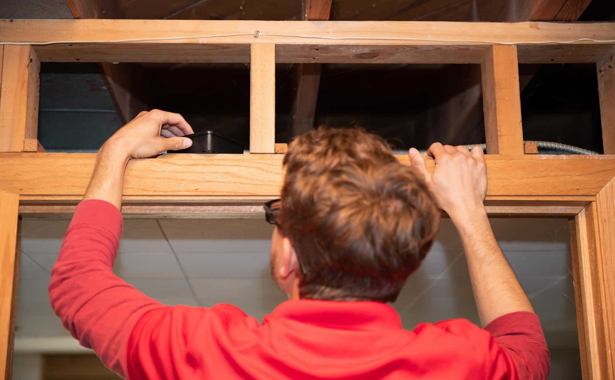How the Experts Approach Mouse Removal | Rainbow Pest Experts