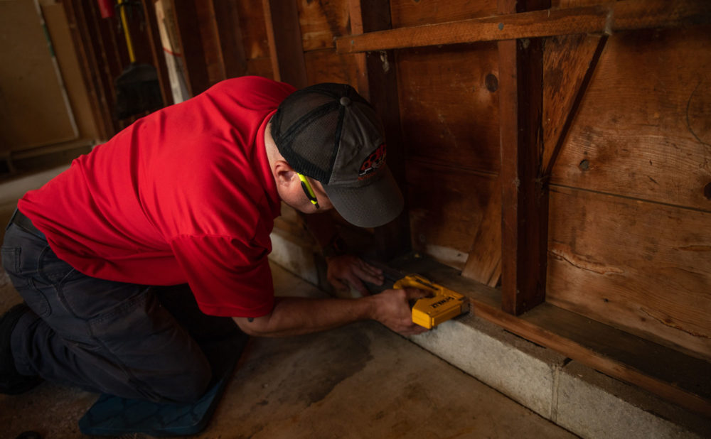 Rainbow Pest Experts Celebrates 20 Years! | Rainbow Pest Experts