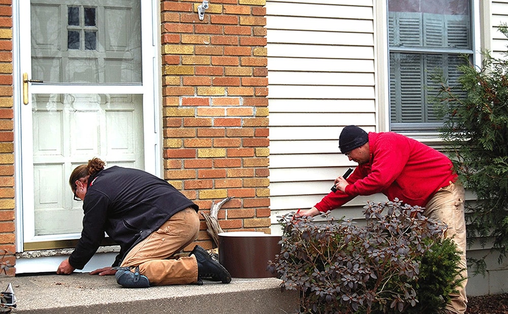 Expert Tips for Do-It-Yourself Mice Control | Rainbow Pest Experts