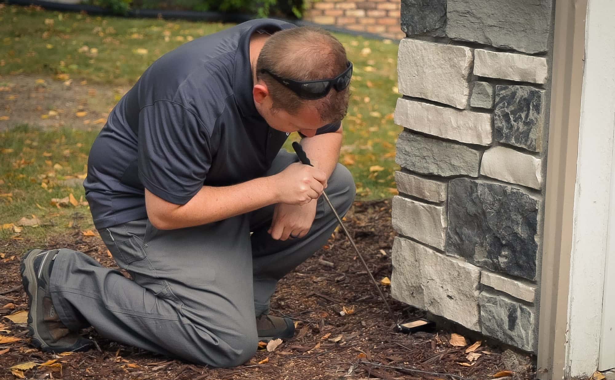 How the Experts Approach Mouse Removal | Rainbow Pest Experts