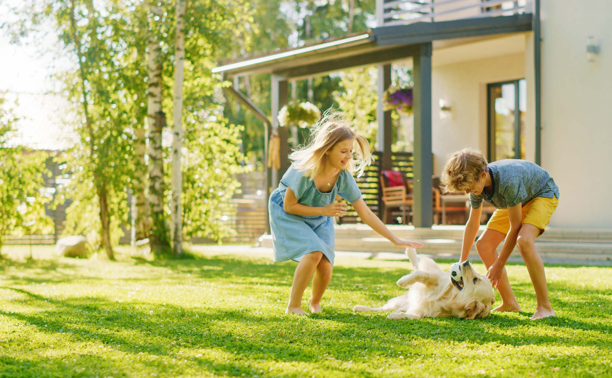 Summer Savings | Rainbow Pest Experts