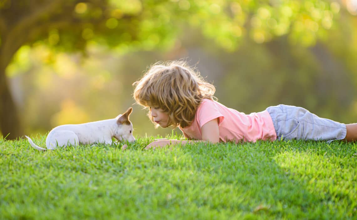Pest Control & Prevention Services in Minneapolis | Rainbow