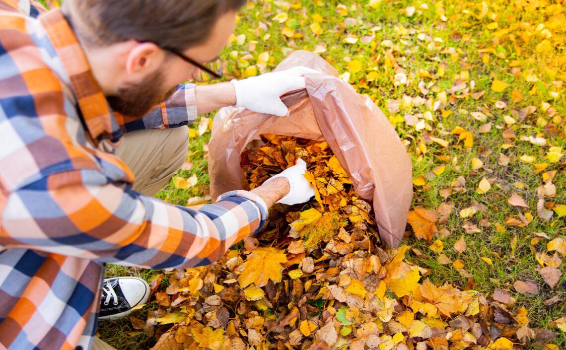 Fall & Winter Pest Prevention Tips in Minnesota | Rainbow Pest